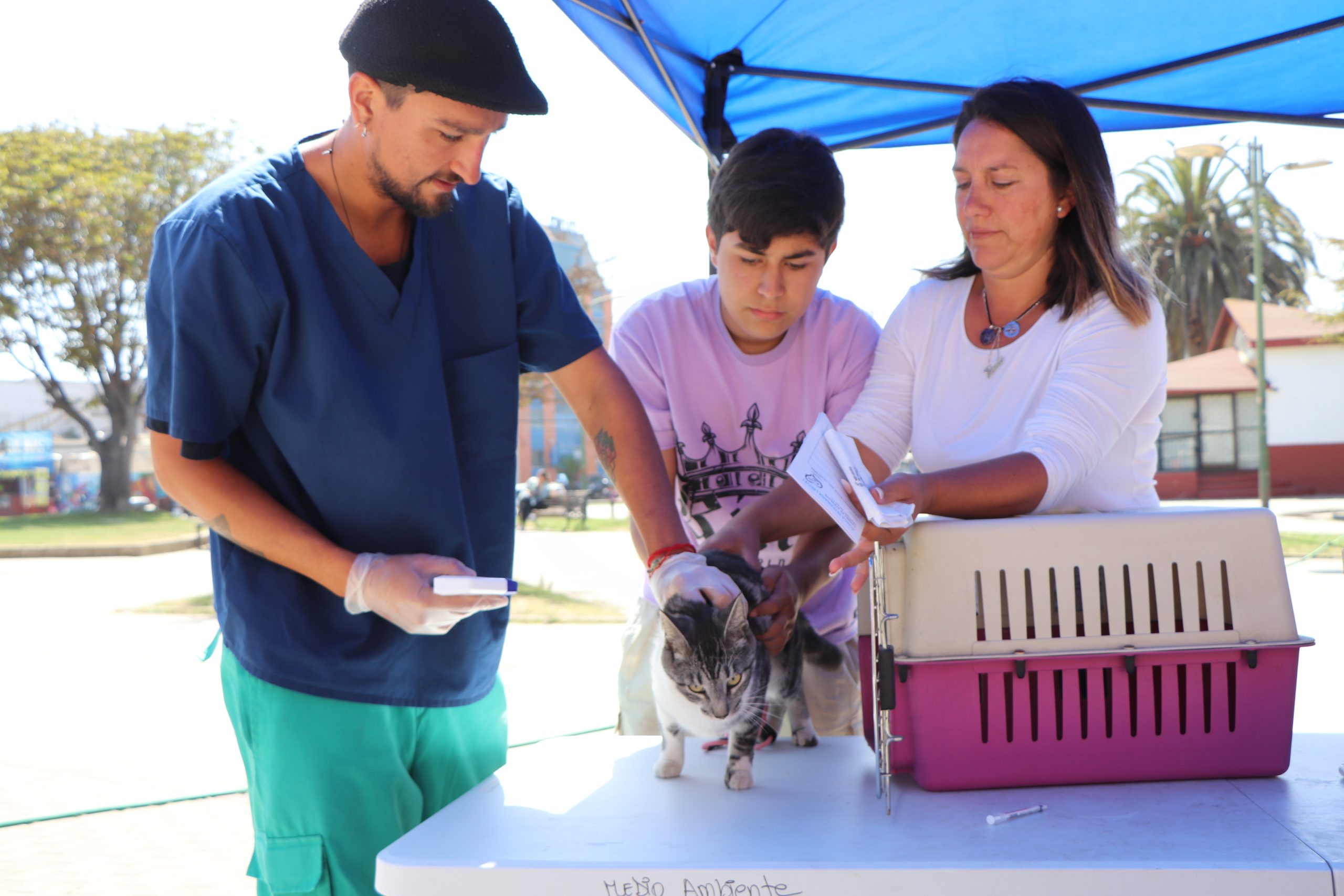 Municipalidad de Quintero impulsa nuevamente la Campaña No + Abandono ...